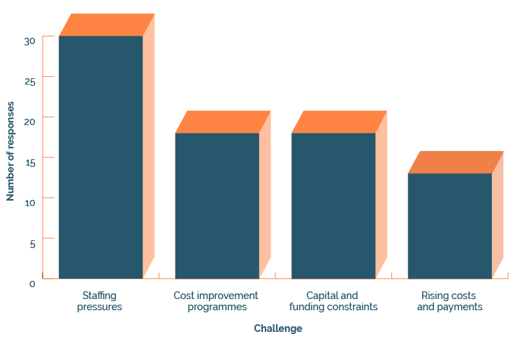 Financial Challenges for NHS Stakeholders - Ergea UK